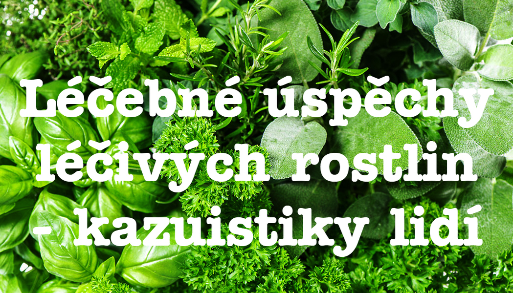 Léčebné úspěchy léčivých rostlin - kazuistiky (osobní zkušenosti lidí ...